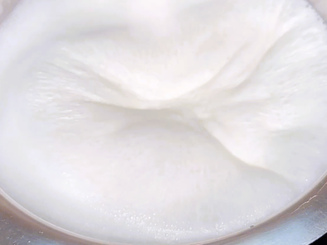 How to Make Malai From Milk - Aayansh Kitchen