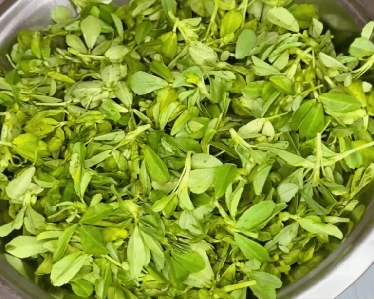 How To Make Kasuri Methi | Dried Fenugreek Leaves - Aayansh Kitchen