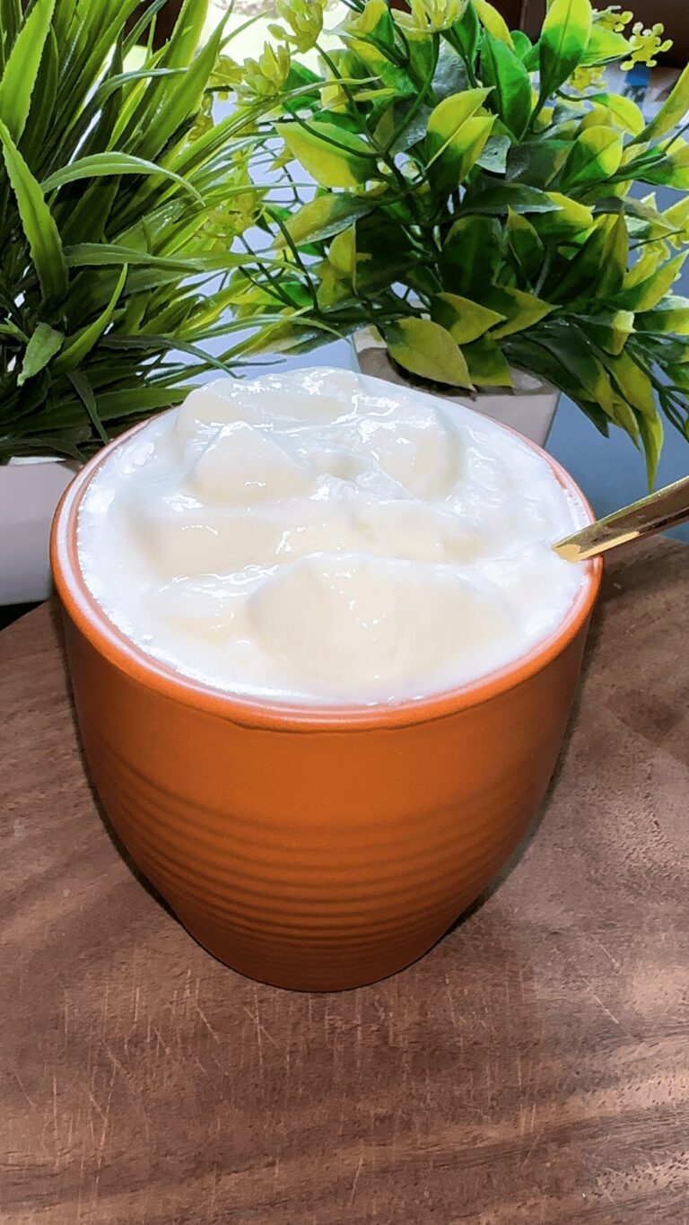How to make Curd | Dahi Recipe | Homemade Indian Yogurt - Aayansh Kitchen