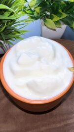 How to make Curd | Dahi Recipe | Homemade Indian Yogurt - Aayansh Kitchen