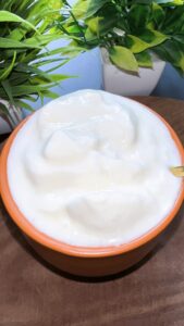How to make Curd | Dahi Recipe | Homemade Indian Yogurt - Aayansh Kitchen